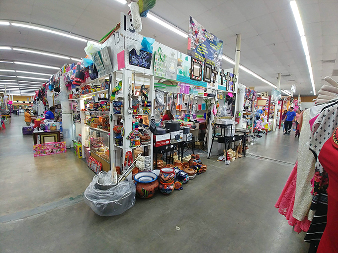 Colorful displays create a feast for the eyes at Plaza 44, where every booth tells a different story.