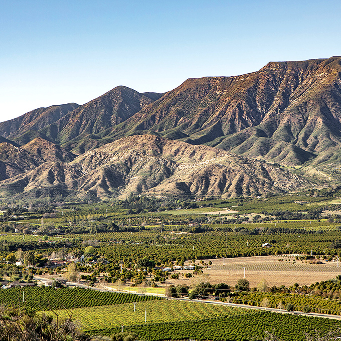 Mountains cradle Ojai Valley like protective arms, while orchards and vineyards create a patchwork quilt of agricultural splendor.
