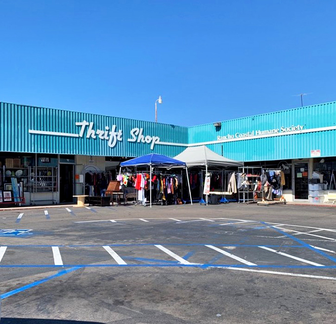 Shopping with a purpose &ndash; this cheerful turquoise thrift shop turns your bargain hunting into support for furry friends.