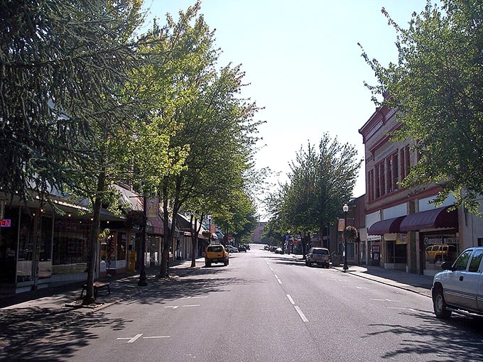 Dappled sunlight plays across Roseburg's tree-lined main street, where your Social Security check buys more than just peace of mind.