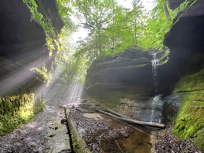 Sunbeams pierce through ancient rock formations, creating nature's own cathedral lighting.