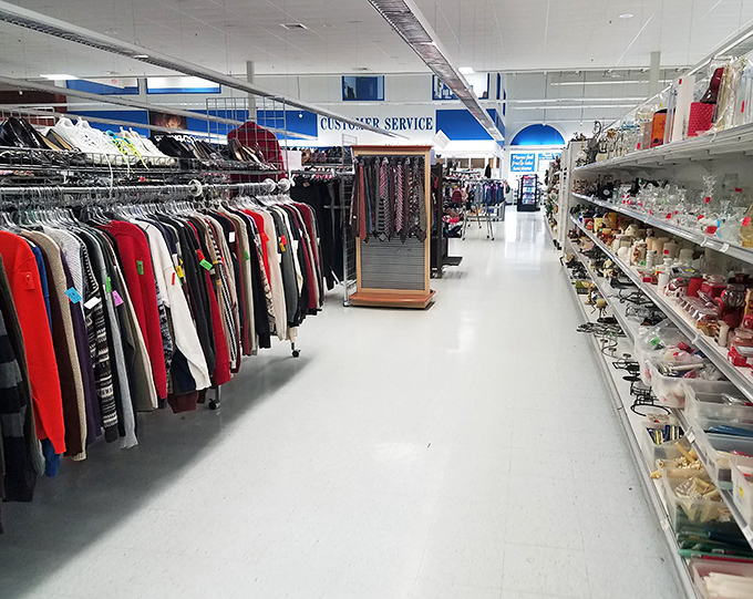 Clean white aisles showcase organized treasures that make shopping feel civilized and surprisingly enjoyable.