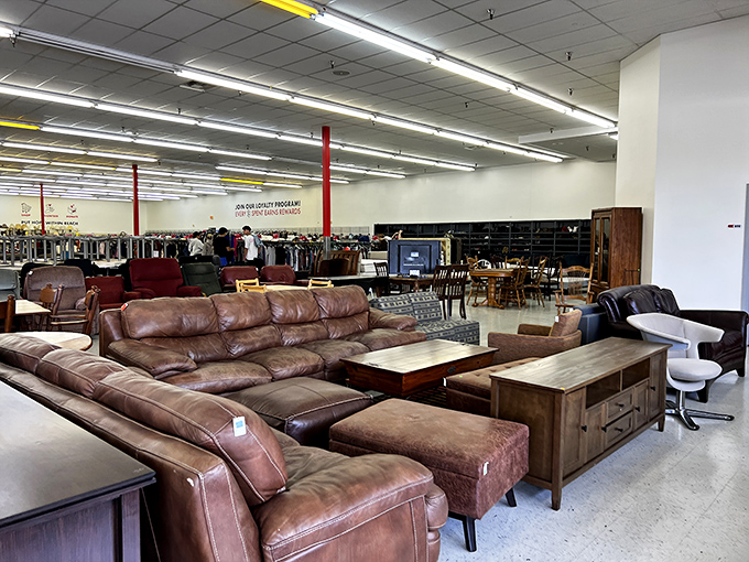 That organized furniture display proves some thrift stores take presentation as seriously as department stores.