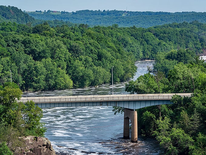 The St. Croix River winds through forested bluffs like nature's own highway, creating scenery that makes every bridge crossing feel magical.