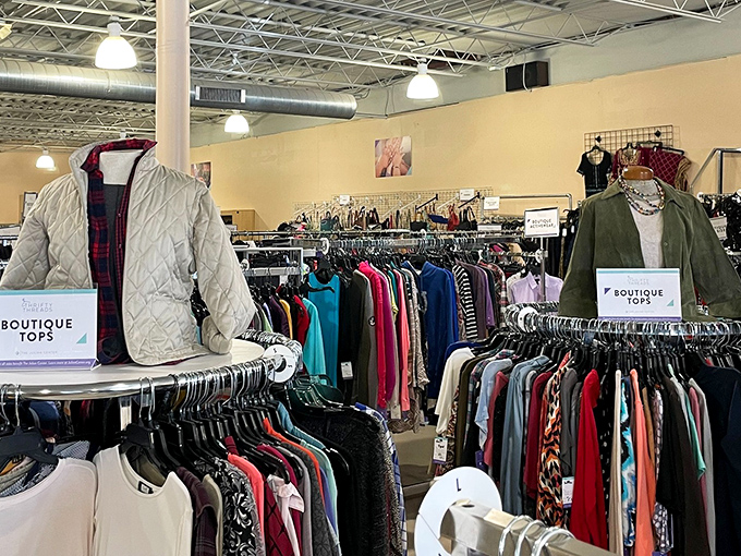 Those neat clothing racks demonstrate how proper organization transforms thrift shopping into pure browsing pleasure.