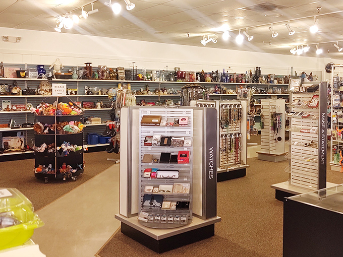 A toy collector's paradise! These colorful shelves hold childhood memories waiting to be rediscovered or created anew.