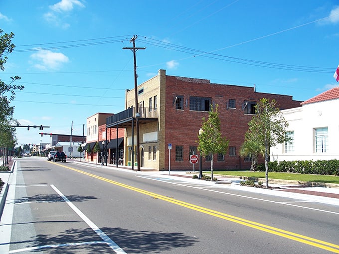 Wauchula's historic buildings have witnessed decades of small-town life. Imagine the stories these brick walls could tell!