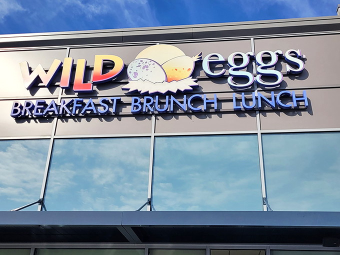 The playful Wild Eggs logo hints at the breakfast creativity inside. Where traditional morning fare gets exciting makeovers without getting pretentious.
