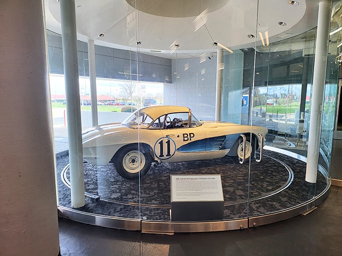 This 1961 Gulf Oil racing Corvette sits regally on its circular platform, a champion frozen in time, still ready to roar around Le Mans.
