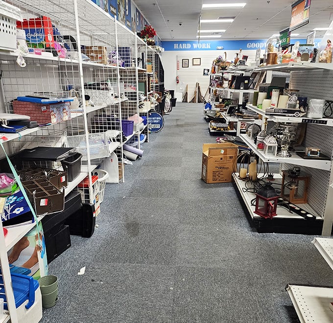 The clothing forest stretches as far as the eye can see. Blue graduation gowns hang like ghosts of accomplishments past.