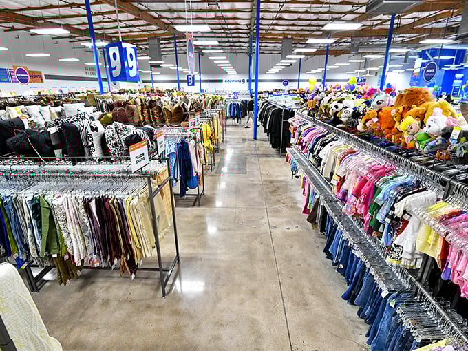 Clothing racks stretch toward the horizon like a textile Grand Canyon, with treasures hidden in every colorful layer.