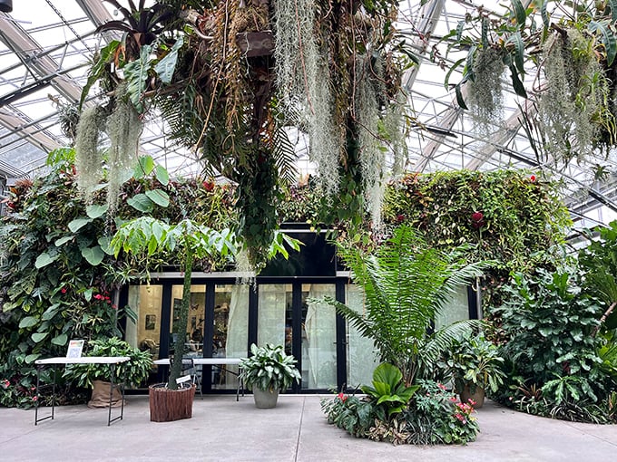 The conservatory brings rainforest humidity to drought-tolerant Southern California. Plant lovers' version of "it's not the heat, it's the humidity"&mdash;but in a good way.