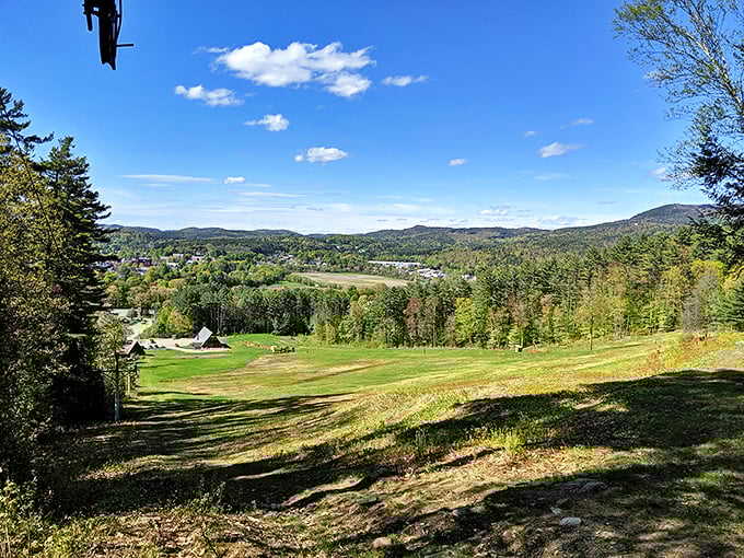 Claremont's valley vista unfolds like a living postcard&mdash;rolling hills, patchwork fields, and distant mountains creating the backdrop for everyday life.