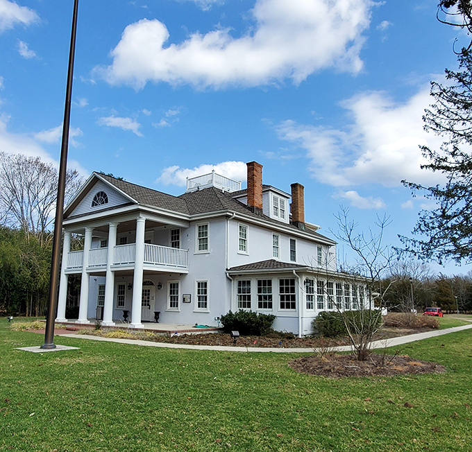 The Atlantic County Veterans Museum stands as both tribute and time capsule, preserving stories that deserve telling for generations to come. 