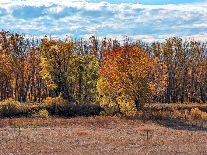 Fall foliage frames the landscape like nature's own Instagram filter &ndash; no app required.