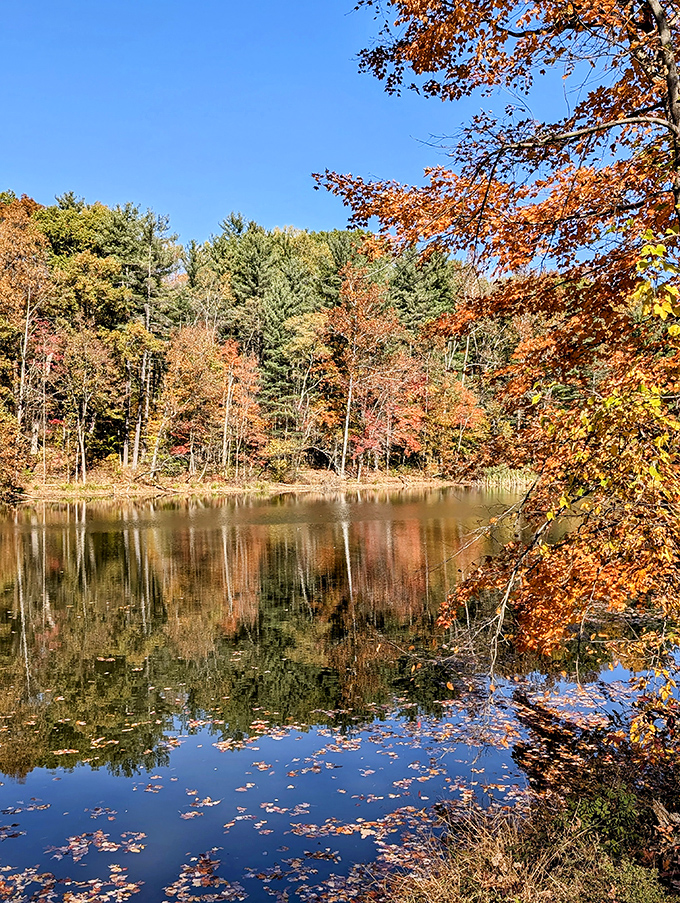 Fall's reflection doubles the visual feast as autumn leaves create nature's most spectacular mirror image on the still lake surface.