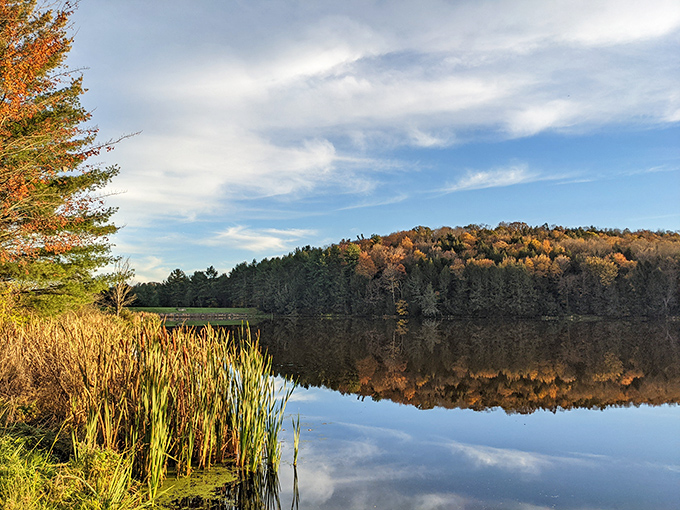 Fall's finest fashion show, where every tree competes for "Best Dressed" and the lake serves as nature's runway mirror.