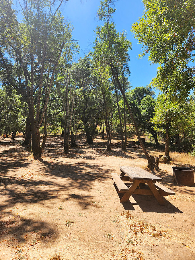 Shaded picnic areas offer respite from the California sun &ndash; the perfect spot to refuel after exploring the park's extensive trail network.