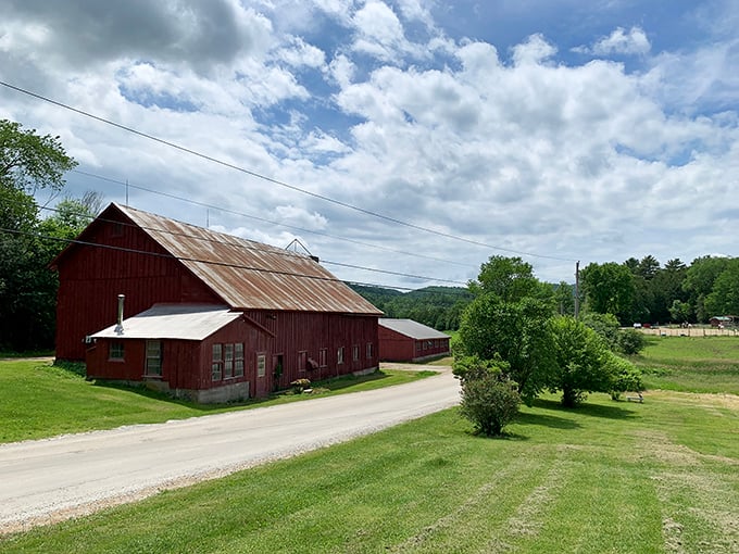 This classic Vermont barn stands as proudly as it did generations ago. Rural architecture that refuses to apologize for its authenticity.