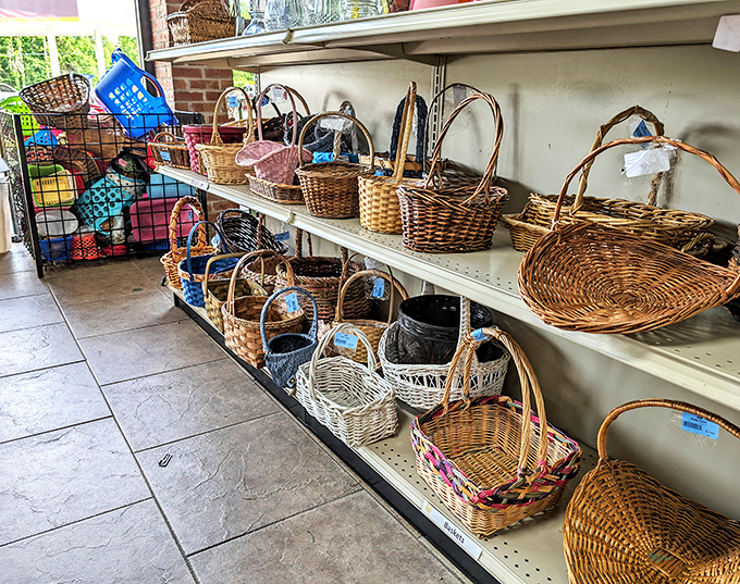 Basket case? More like basket paradise! From picnic companions to home organization heroes, these woven wonders are the multi-taskers your home didn't know it needed.