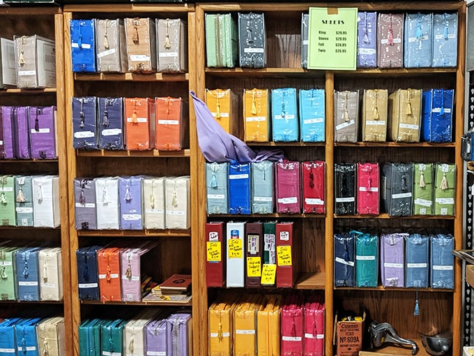 Color-coded sheet music waiting for its next performance. Each folder contains someone's abandoned piano lessons or forgotten band dreams.