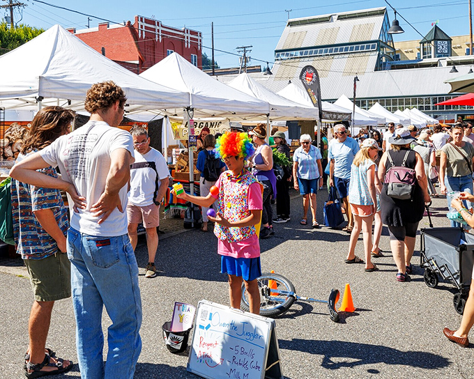 The Bellingham Farmers Market buzzes with energy as locals hunt for the perfect heirloom tomato with the determination of treasure seekers.