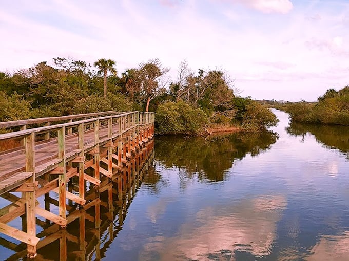 Betty Steflik Park's wooden boardwalk meanders through coastal marshlands, offering a front-row seat to Florida's untamed aquatic wilderness.