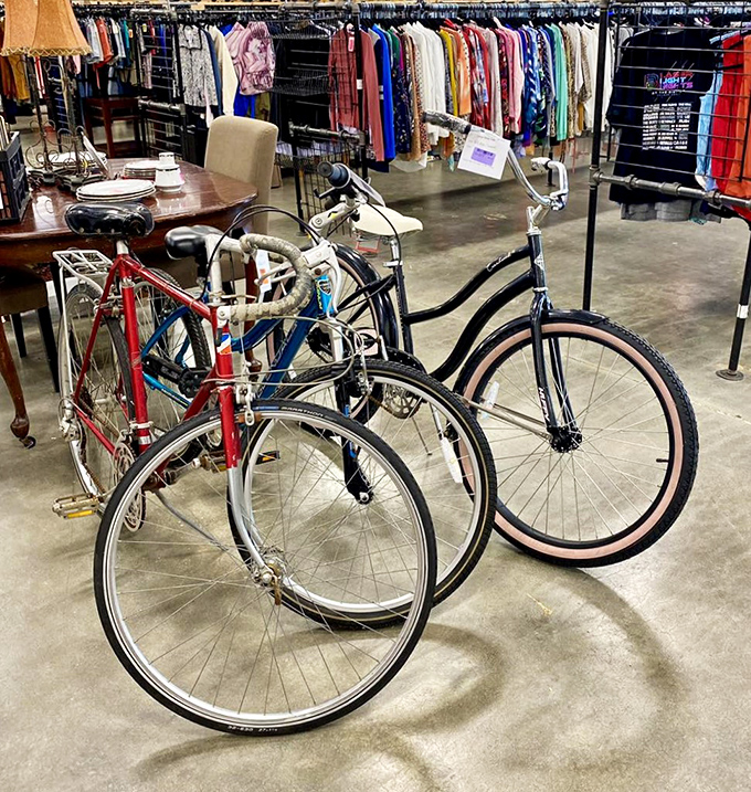 Pedal-powered nostalgia on display. These vintage bikes aren't just transportation&mdash;they're time machines waiting to recreate your childhood freedom for pocket change.