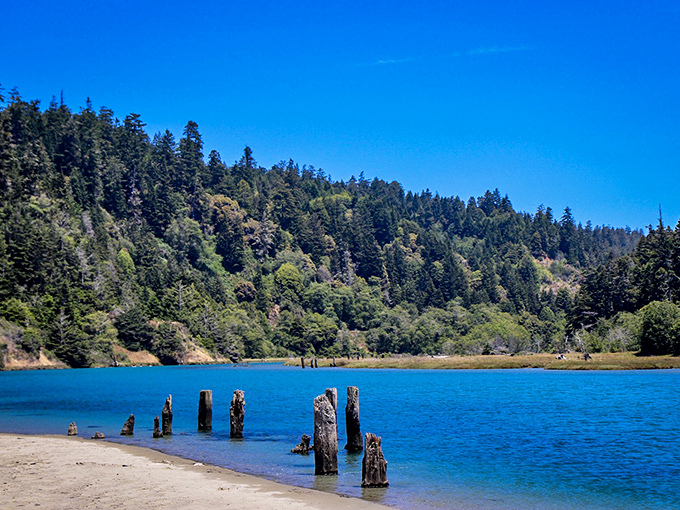 The Big River Estuary looks like Mother Nature's own watercolor painting. Those wooden pilings tell tales of logging days gone by.