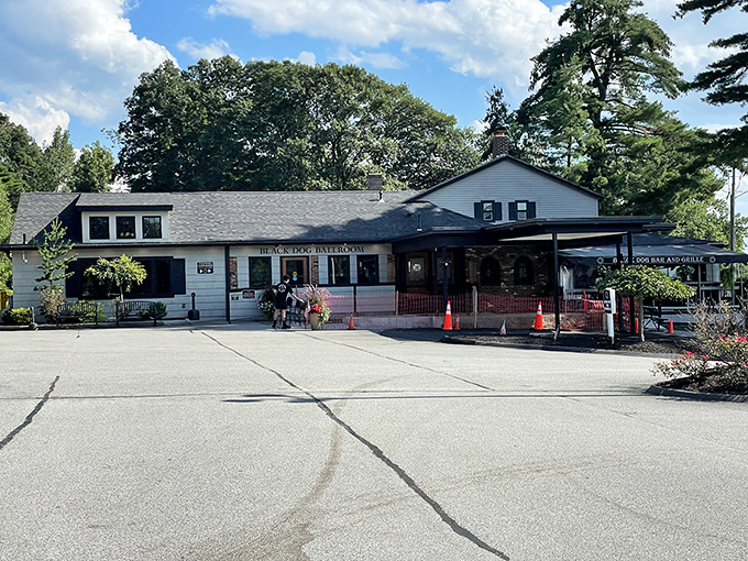 Black Dog Bar & Grille serves comfort food classics in a setting where everybody remembers your name&mdash;and your usual order.