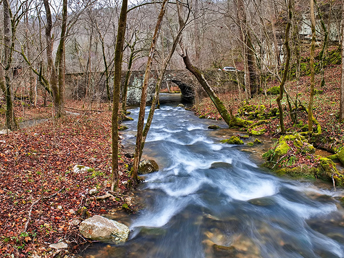 Blanchard Springs' rushing waters have been carving masterpieces longer than Michelangelo, with considerably less scaffolding involved.