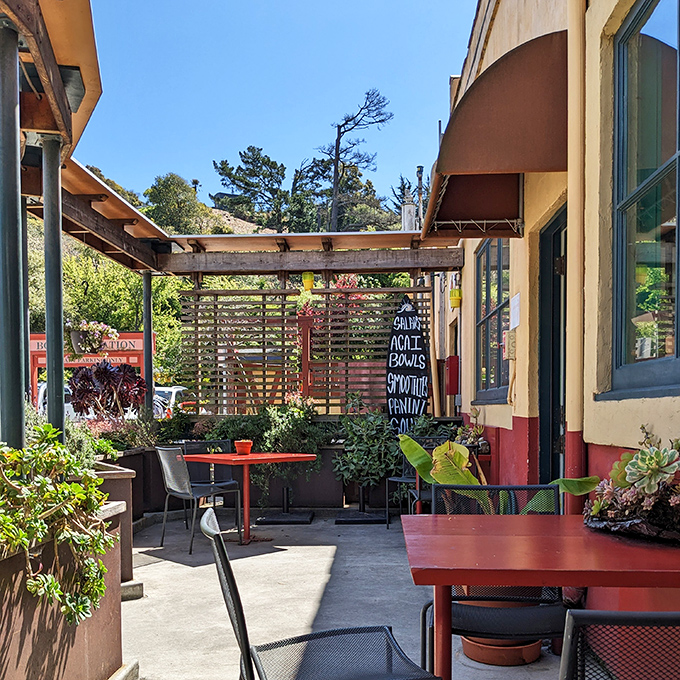 This sun-drenched patio offers the perfect equation: good food + fresh air + zero pretension = the Bolinas dining experience.