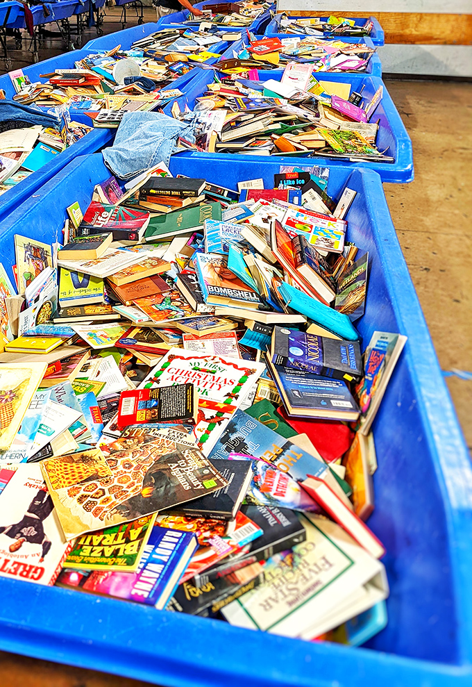 Literary treasures await their next chapter. In this paper ocean, cookbooks mingle with romance novels in a delightful democratic jumble.