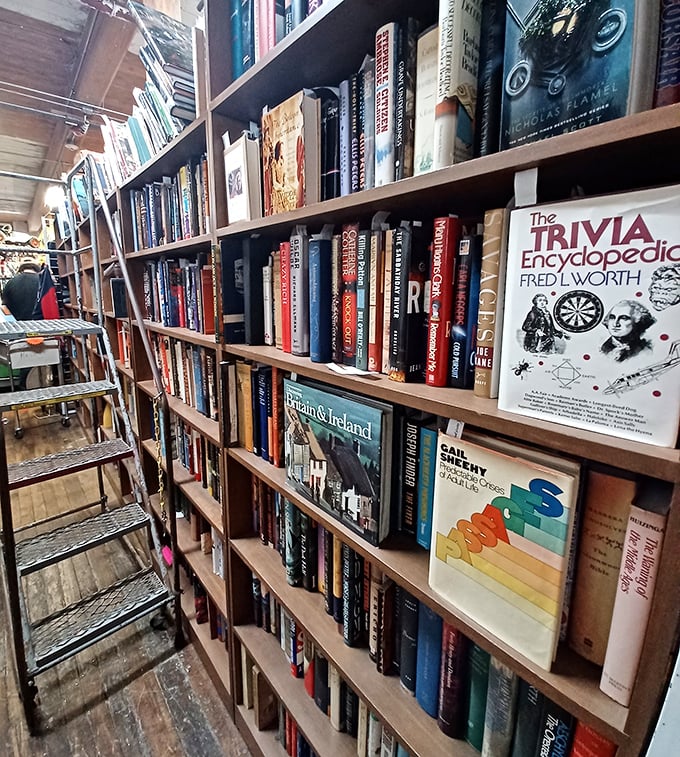 Floor-to-ceiling bookshelves create a literary labyrinth where forgotten bestsellers and obscure treasures wait for their next reader's discovery.