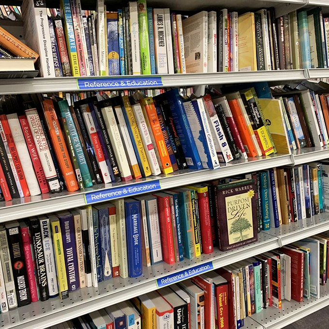 The reference section: where forgotten bestsellers and timeless classics wait patiently for their next reader, organized with librarian-worthy precision.