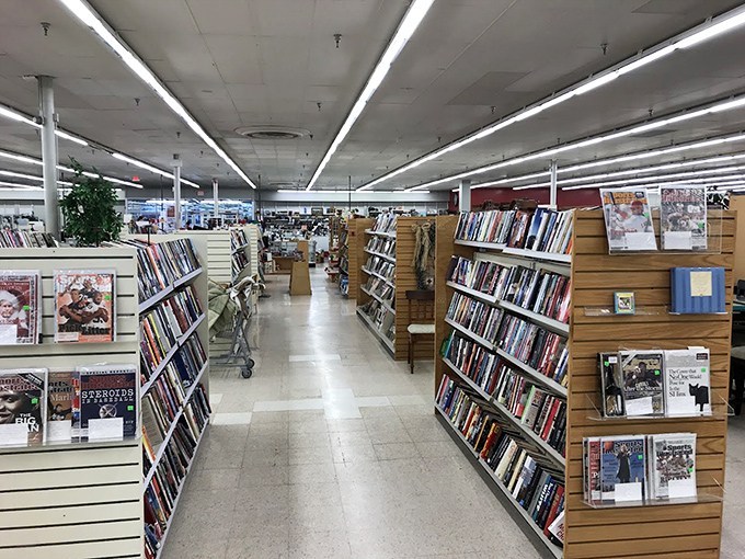 Book lovers, prepare to lose track of time. These shelves hold forgotten bestsellers and out-of-print gems just waiting for their next reader.