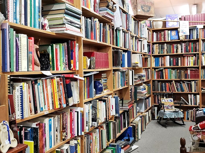 Floor-to-ceiling books where literary treasures hide between forgotten cookbooks and vintage encyclopedias. The scent of old paper is complimentary with every purchase.
