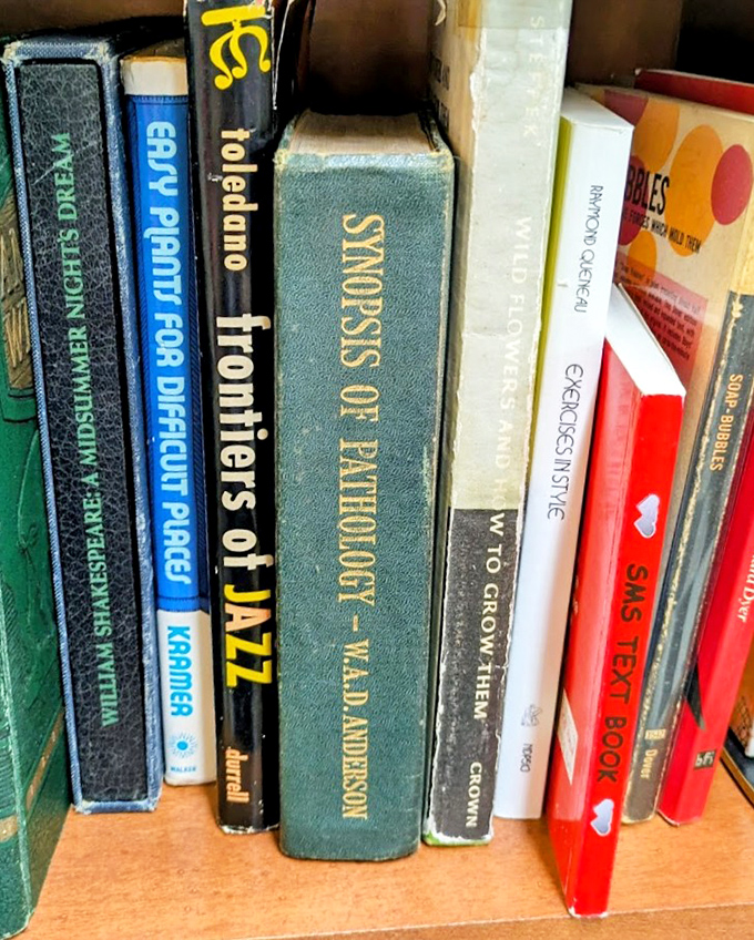 Books that smell like history and adventure. That "Synopses of Pathology" probably contains medical advice we're lucky to have evolved beyond.