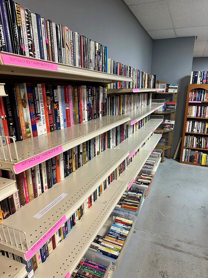 The book section: where literary treasures hide between dog-eared paperbacks. Bibliophiles beware—you'll need another bookshelf after visiting this literary goldmine.
