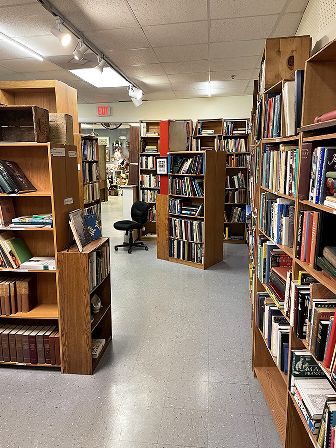 The book section: where bibliophiles come to breathe deeply, get lost for hours, and leave with more volumes than they intended.