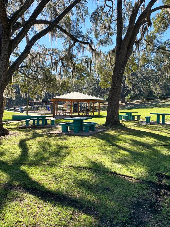 Spanish moss draped over park picnic areas creates nature's own canopy for gatherings that don't require reservation fees.