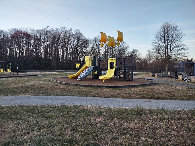 Fall foliage frames this aerial harbor view, where sailboats dot the water like exclamation points in Annapolis's maritime conversation.
