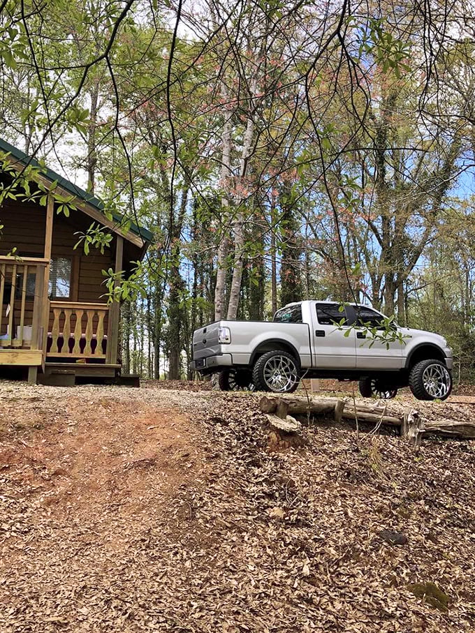Rustic luxury at its finest – where cabin life meets woodland serenity and morning coffee comes with a symphony of birdsong.