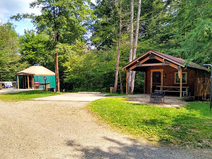 Rustic accommodations for those who want nature with a side of actual walls. The cabin and yurt offer wilderness with the luxury of not sleeping on roots.