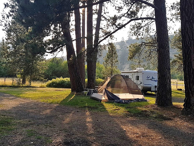 Camping nirvana – where your morning alarm is birdsong and your ceiling is infinite blue.