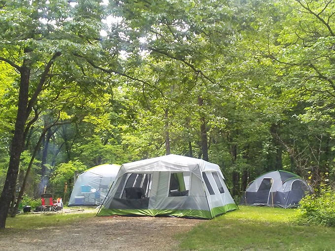 Camping nirvana: where your morning alarm is birdsong and your ceiling is a canopy of leaves. No room service, but infinite stars.