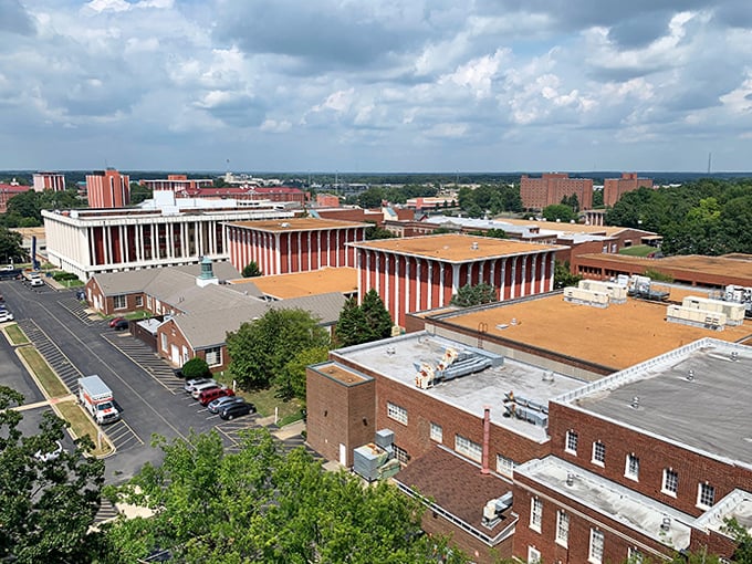 This aerial view shows a different side of the region, with institutional buildings that contrast with Hazel's intimate downtown charm.