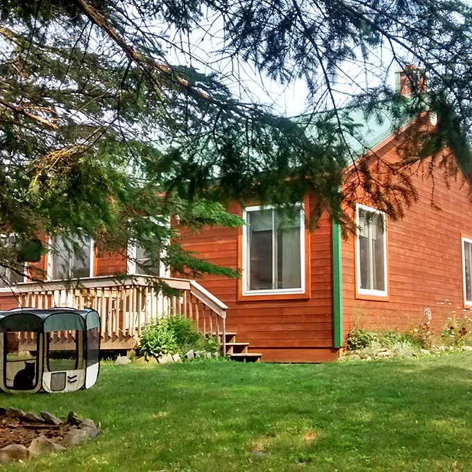 These rustic cabins offer the perfect blend of woodland seclusion and homey comfort&mdash;like camping, but with actual beds and no bears stealing your snacks.
