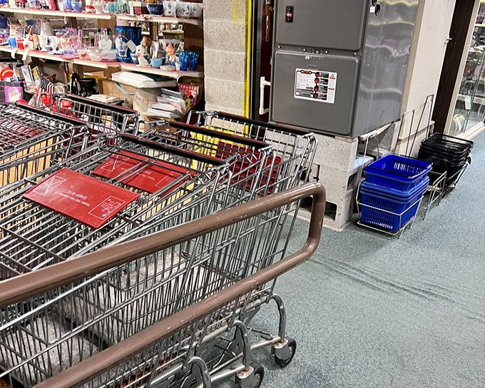 Shopping carts stand ready for your antiquing adventure &ndash; the modern chariots for your journey through the past.