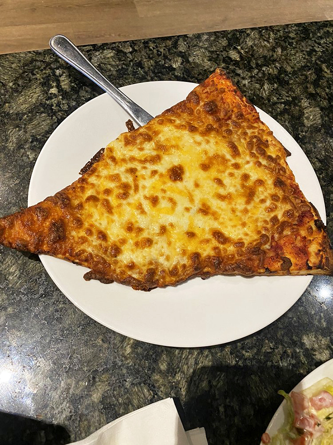 Behold the magnificent cheese pizza slice &ndash; proof that sometimes the simplest option is the most satisfying canvas for pizza perfection.